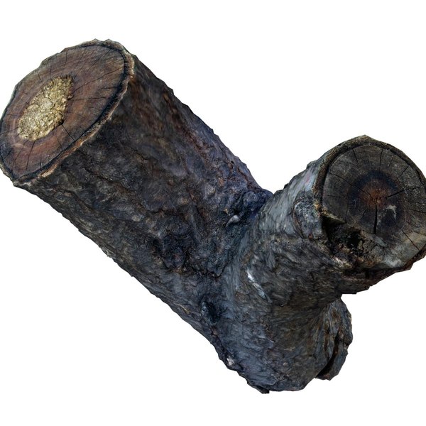 Free 3D Log Models | TurboSquid