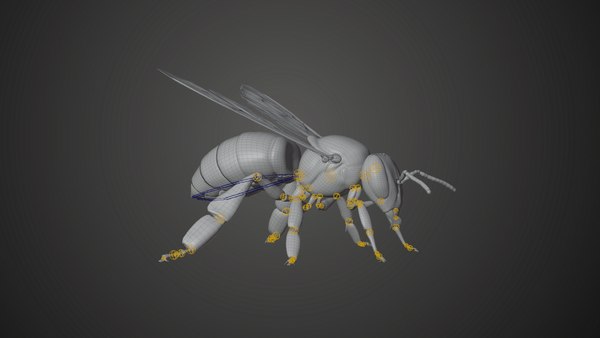 Honey bee Animated 3D - TurboSquid 1972520