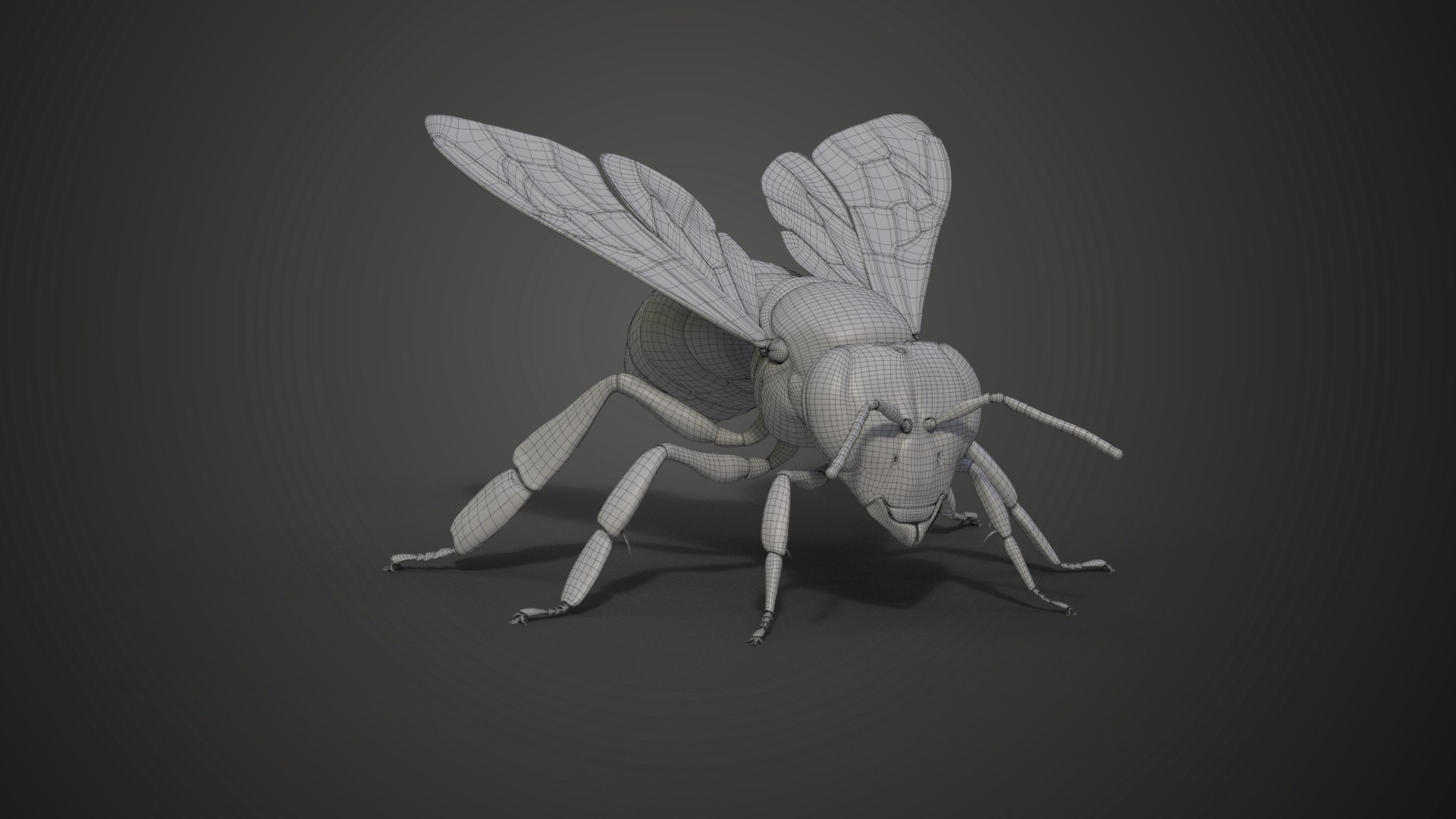 Honey Bee Animated 3D - TurboSquid 1972520