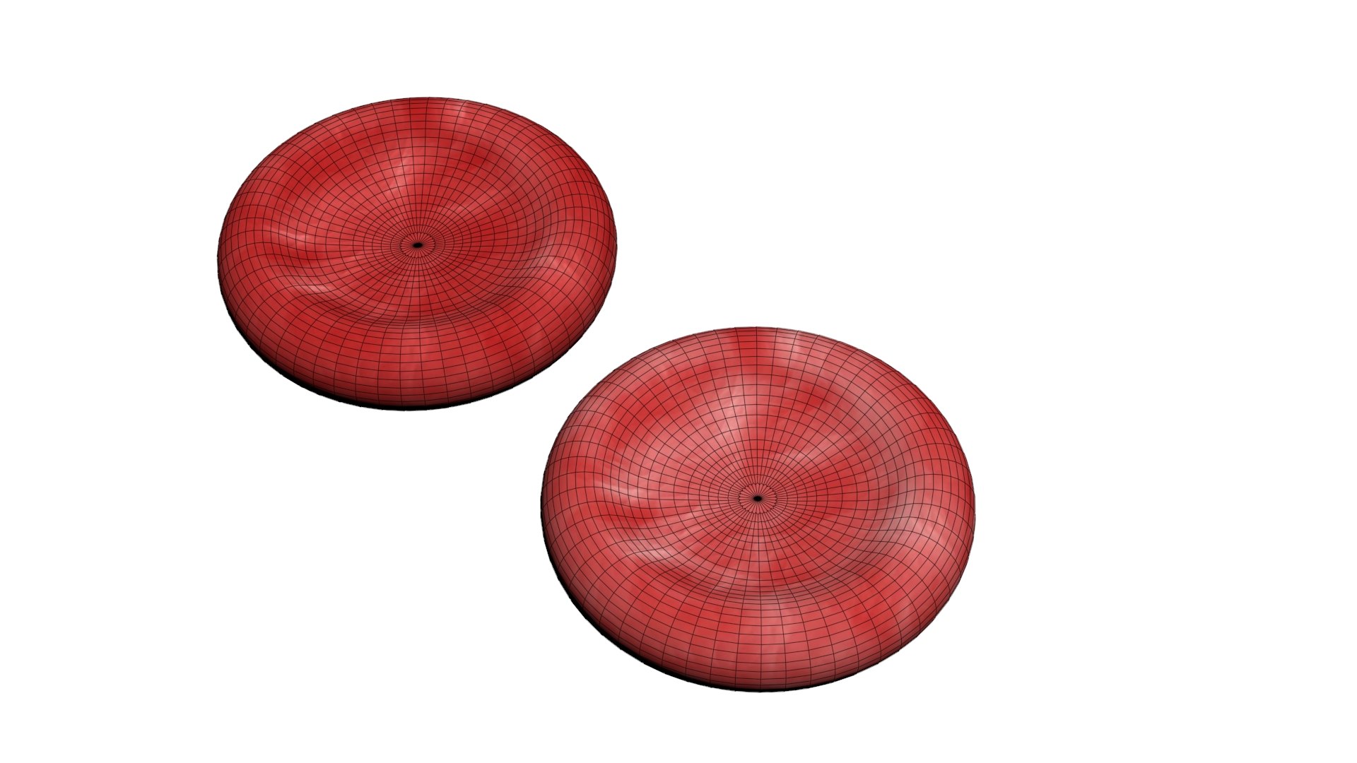 3D Blood Cell Red Corpuscles Model - TurboSquid 1607770