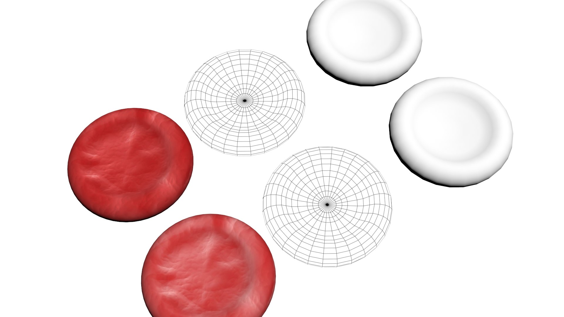 3D Blood Cell Red Corpuscles Model - TurboSquid 1607770