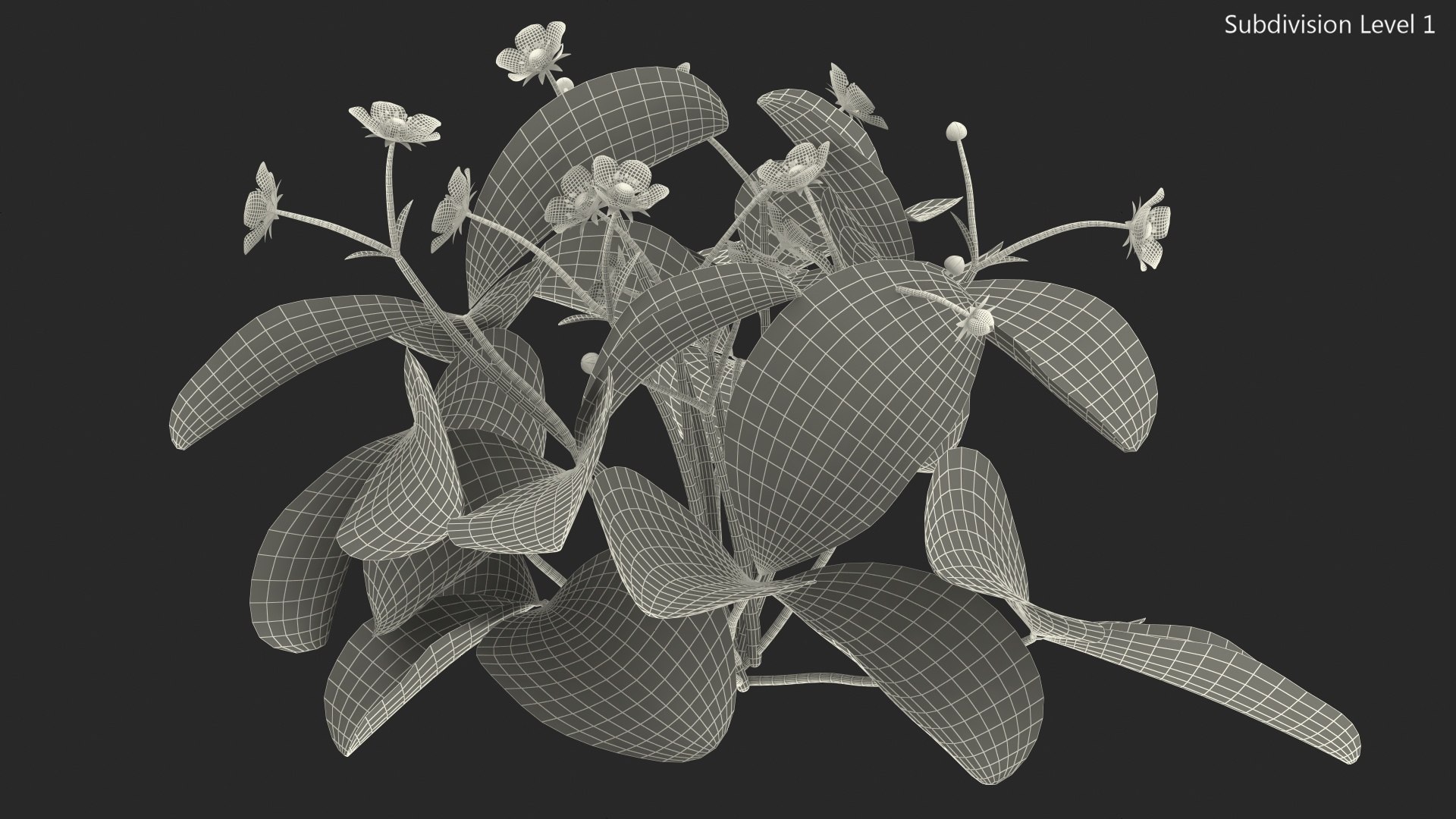 3D model garden strawberry plant flowers - TurboSquid 1623338