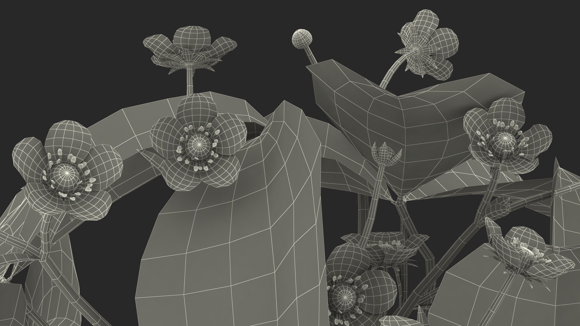 3D Model Garden Strawberry Plant Flowers - TurboSquid 1623338
