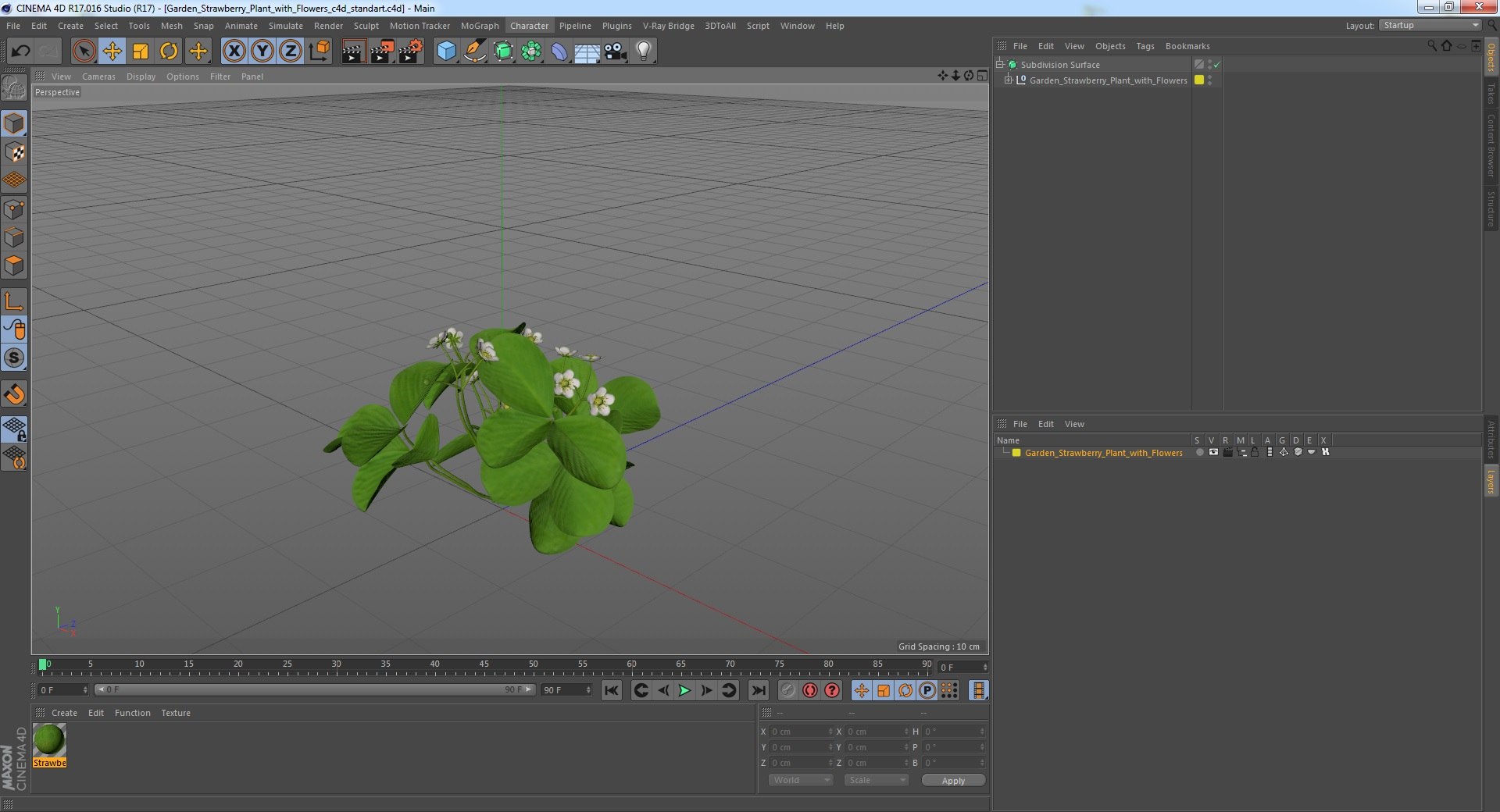 3D model garden strawberry plant flowers - TurboSquid 1623338