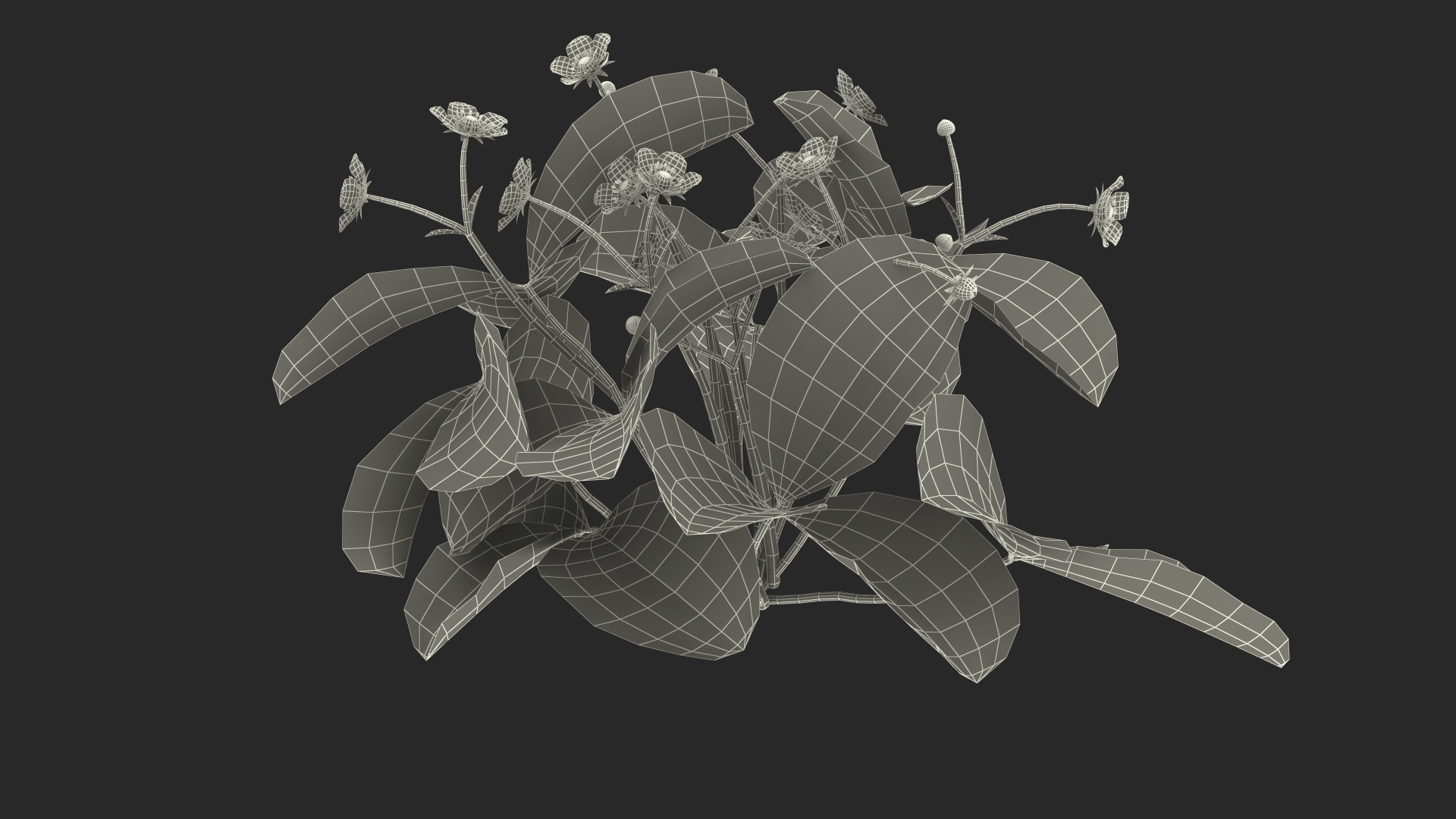 3D Model Garden Strawberry Plant Flowers - TurboSquid 1623338