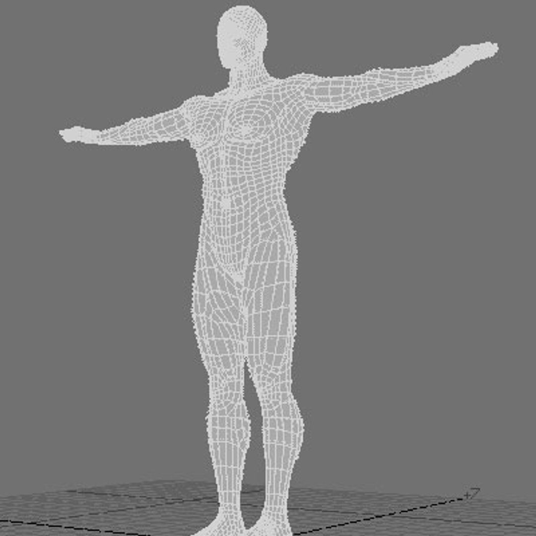 Man Body 3d Model