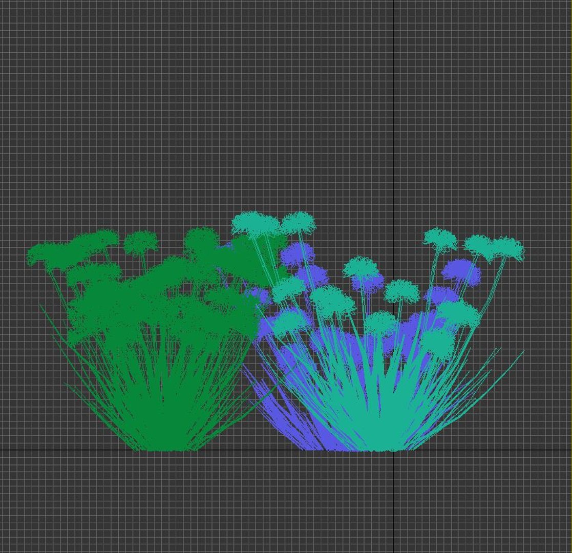 Armeria Plant Grows Model - TurboSquid 1413129
