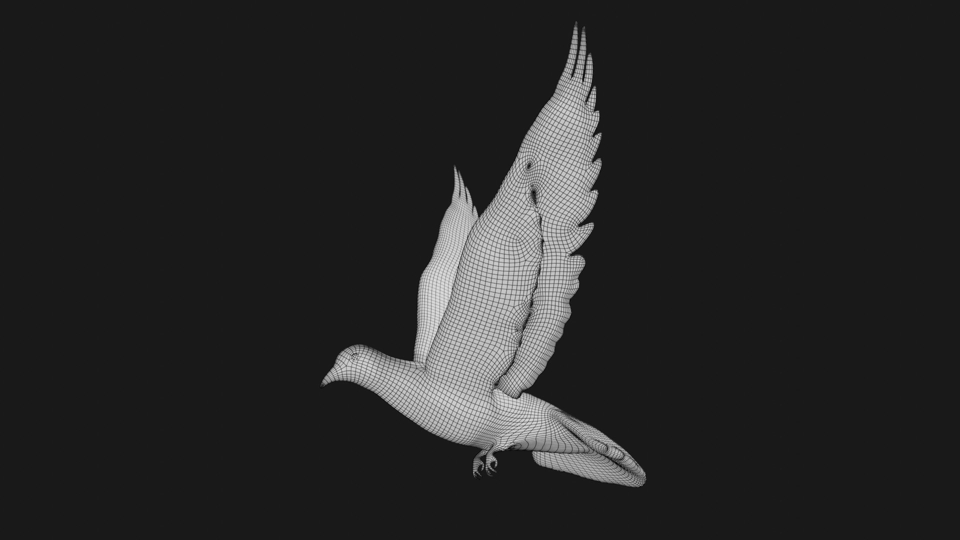 Fully Rigged low poly Dove model - TurboSquid 1751977
