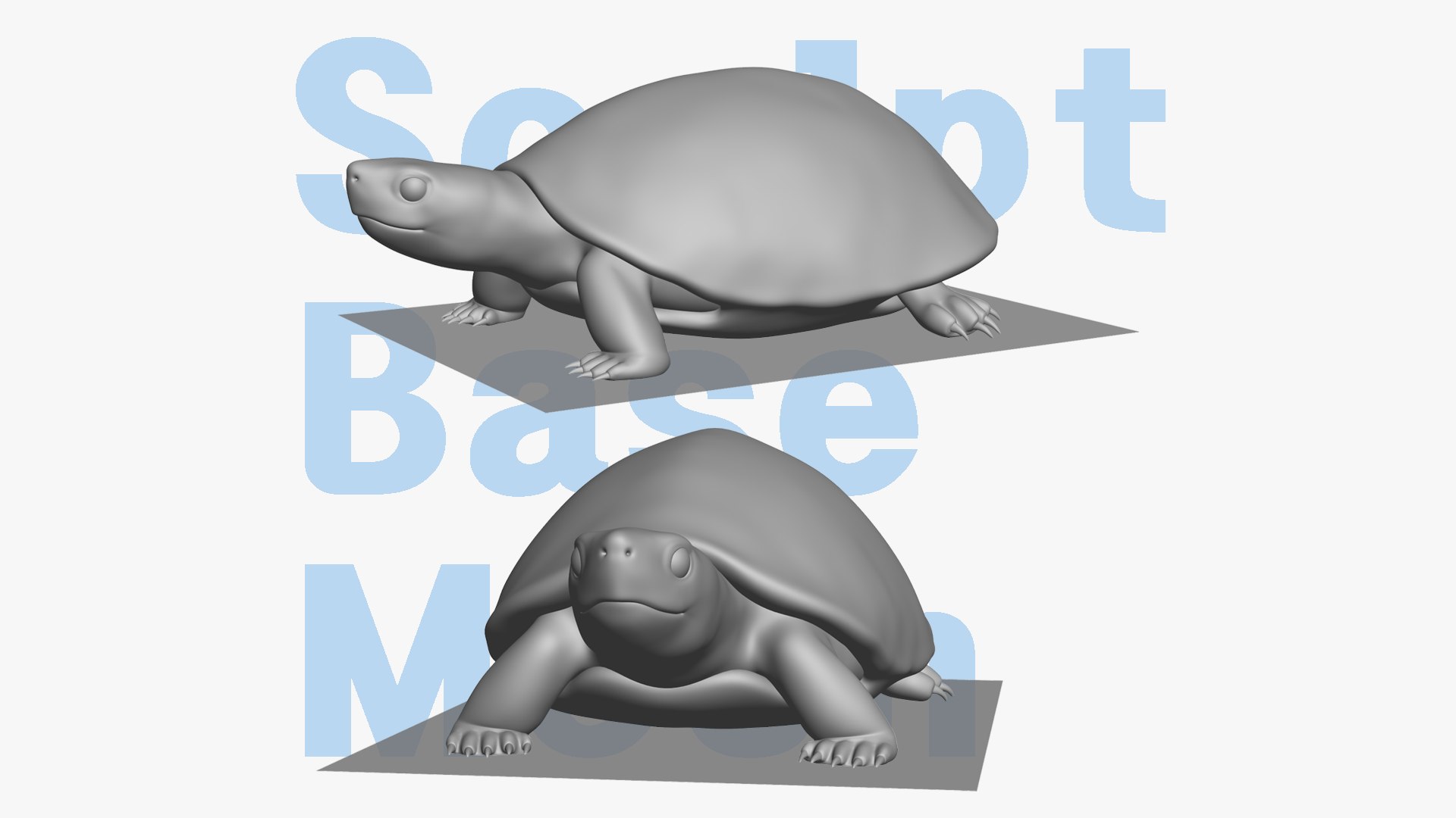 modelo 3d Sculpt base mesh turtle - TurboSquid 2049398