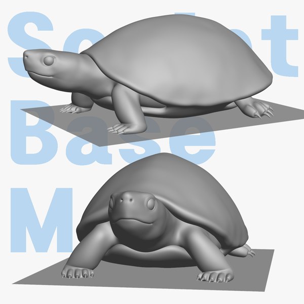 modelo 3d Sculpt base mesh turtle - TurboSquid 2049398