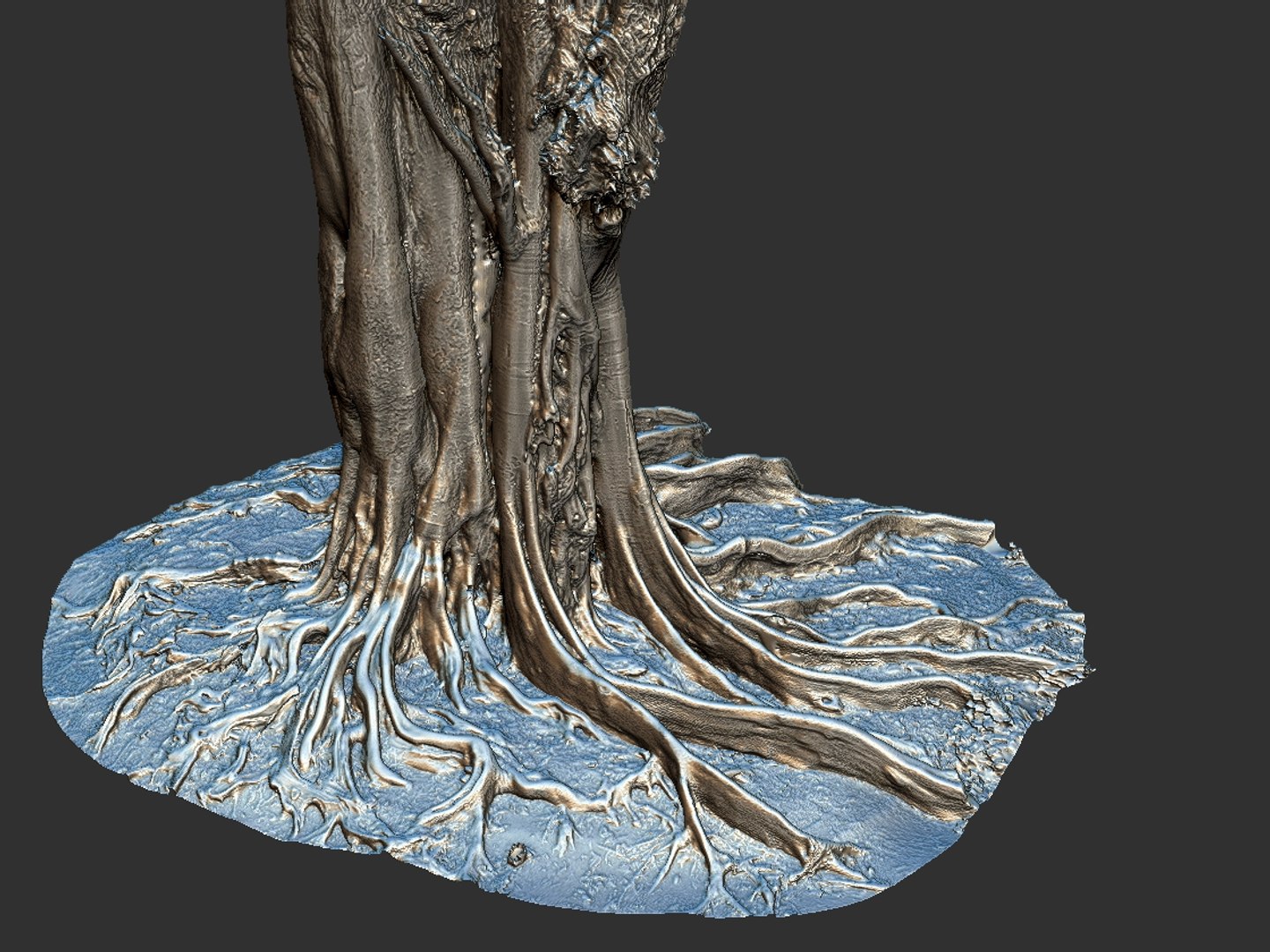 Giant Tree Jungle 3D Model - TurboSquid 1405613