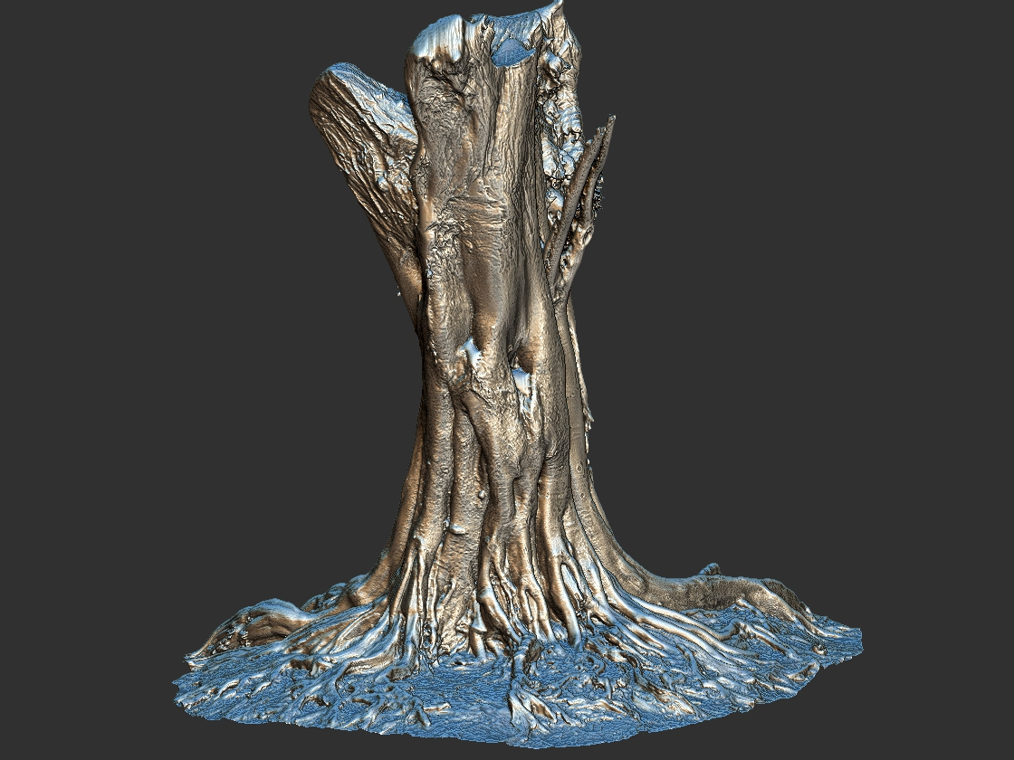 Giant tree jungle 3D model - TurboSquid 1405613