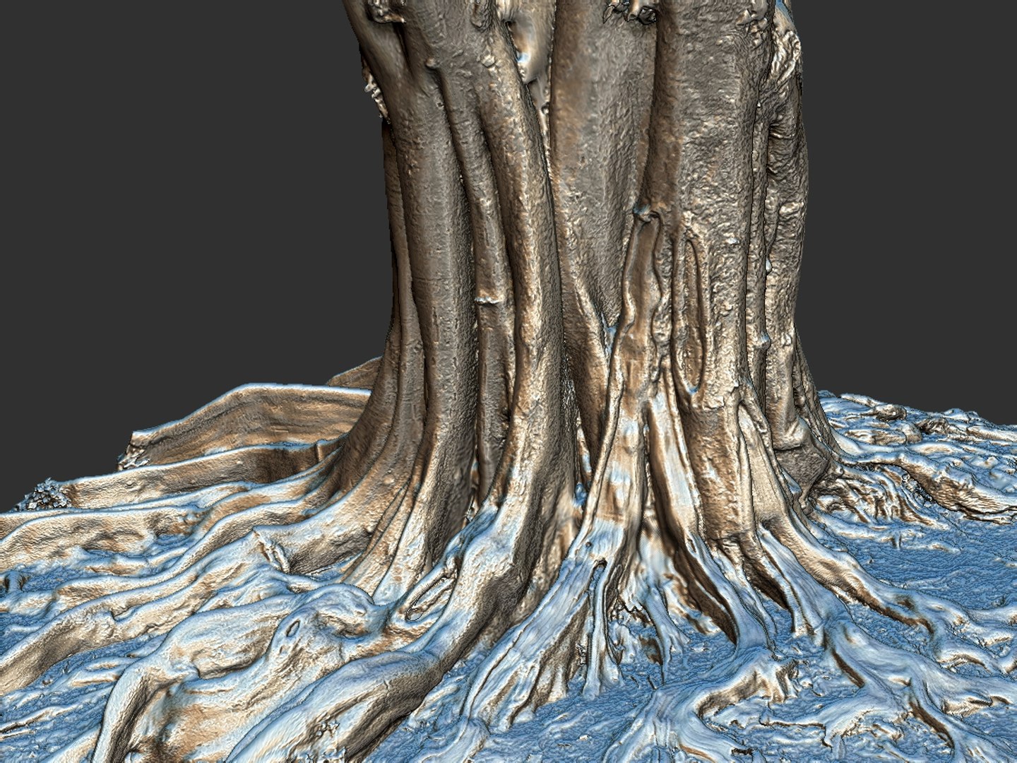Giant Tree Jungle 3D Model - TurboSquid 1405613