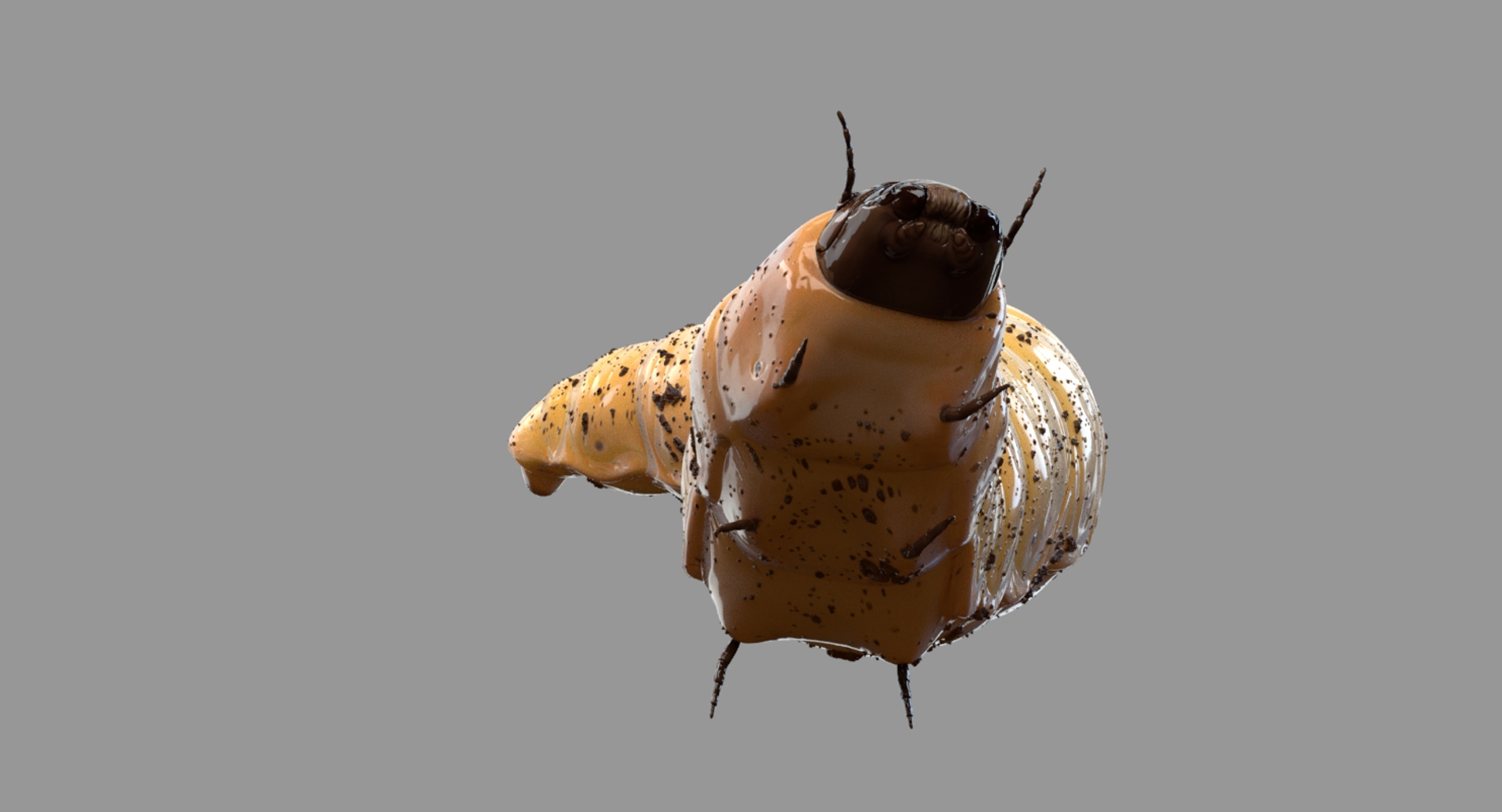 Realistic Maggot Pose 3D Model - TurboSquid 1424617