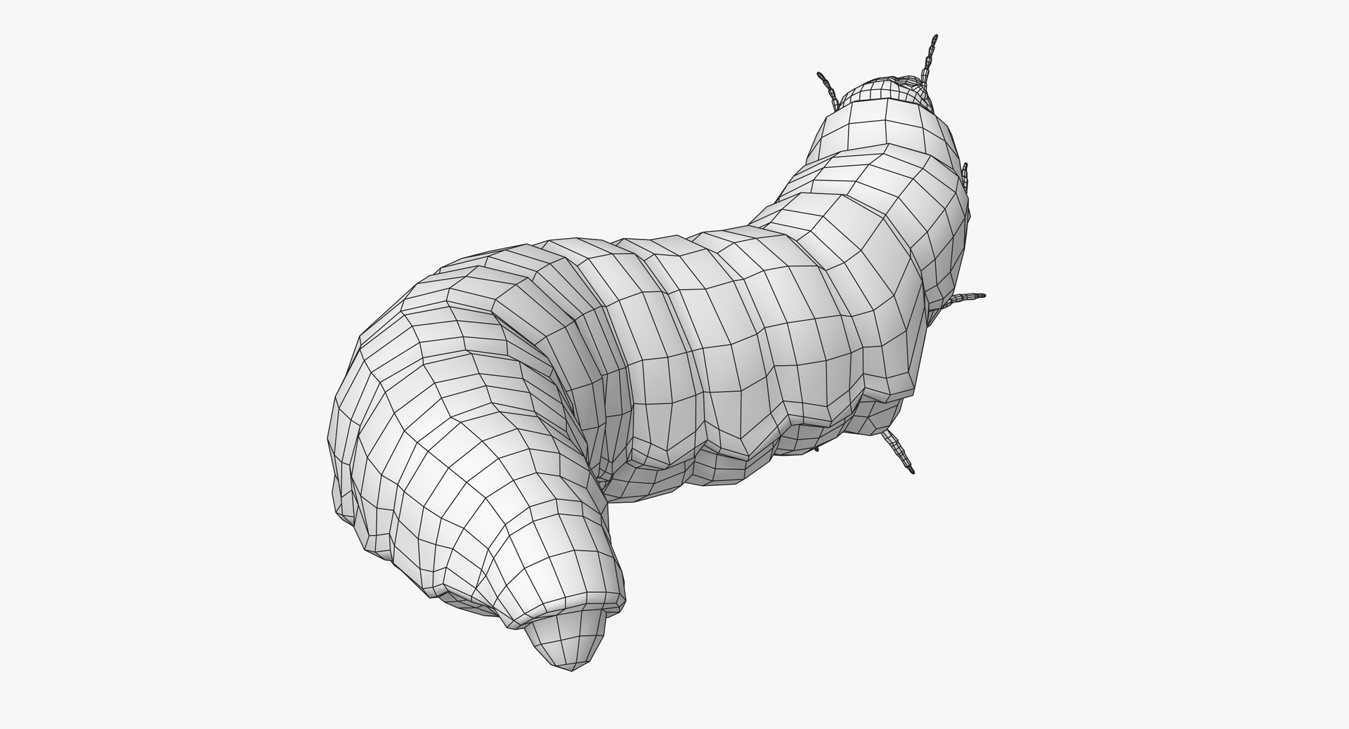 Realistic Maggot Pose 3D Model - TurboSquid 1424617