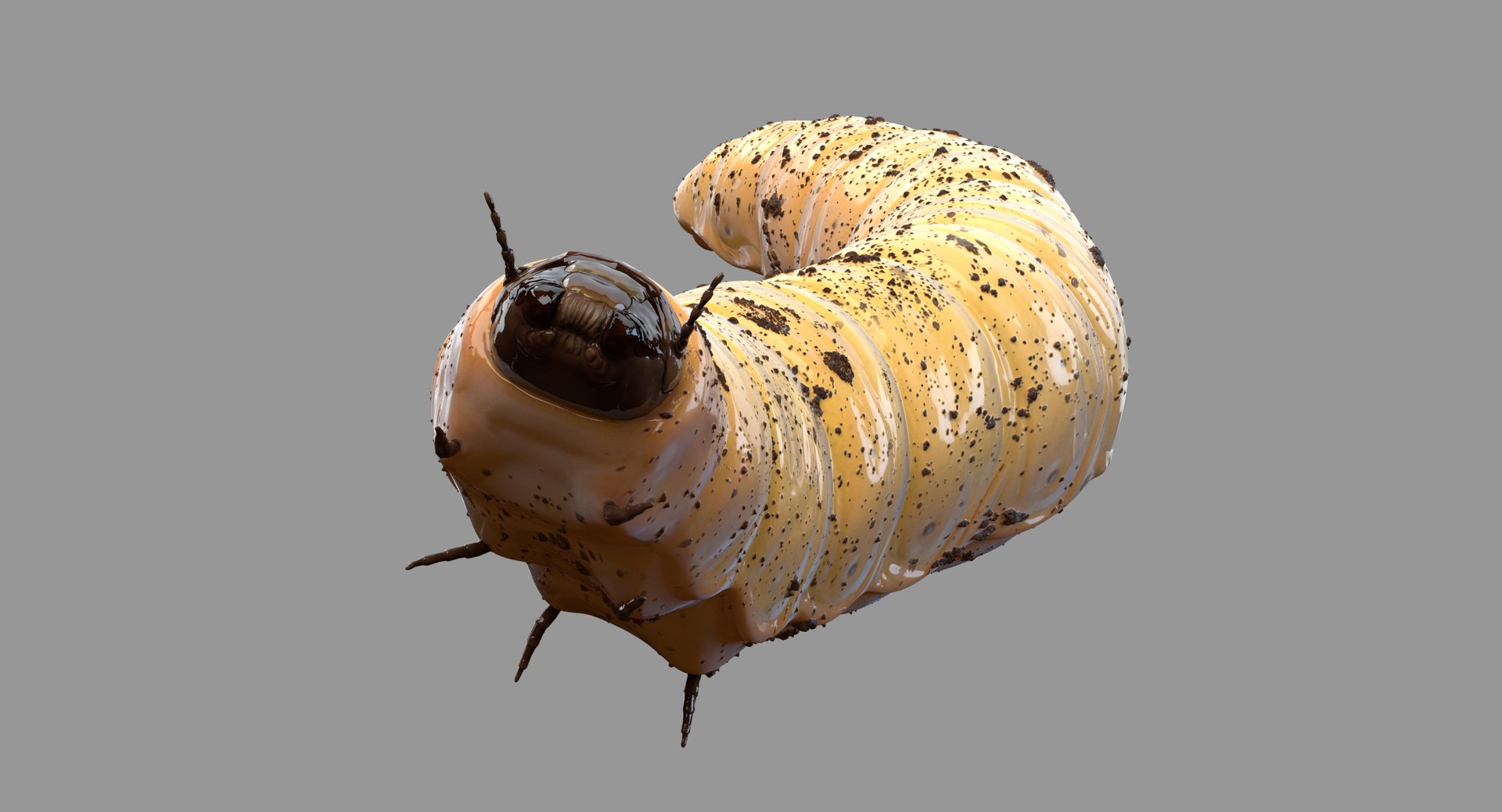 Realistic Maggot Pose 3D Model - TurboSquid 1424617
