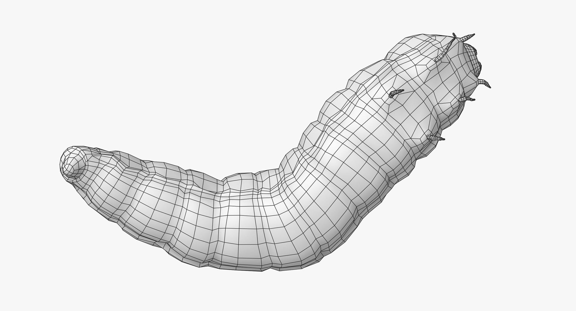 Realistic Maggot Pose 3D Model - TurboSquid 1424617