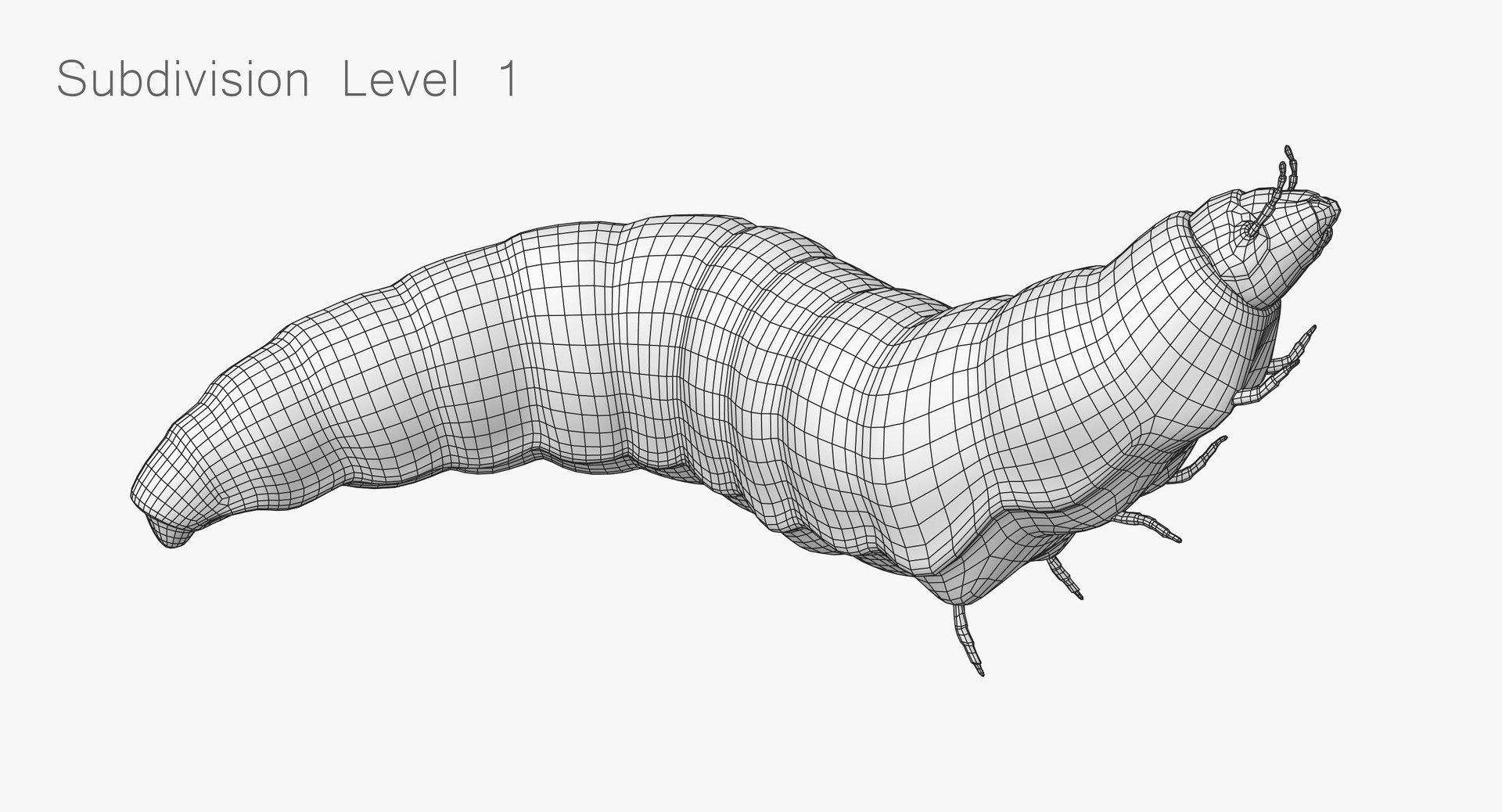 Realistic Maggot Pose 3D Model - TurboSquid 1424617