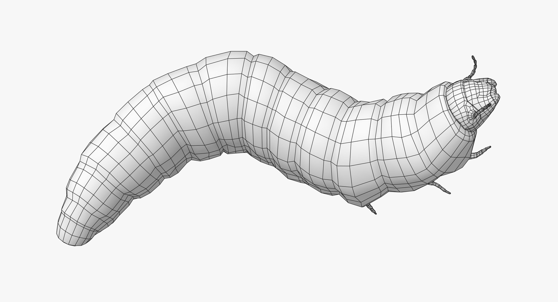 Realistic Maggot Pose 3D Model - TurboSquid 1424617