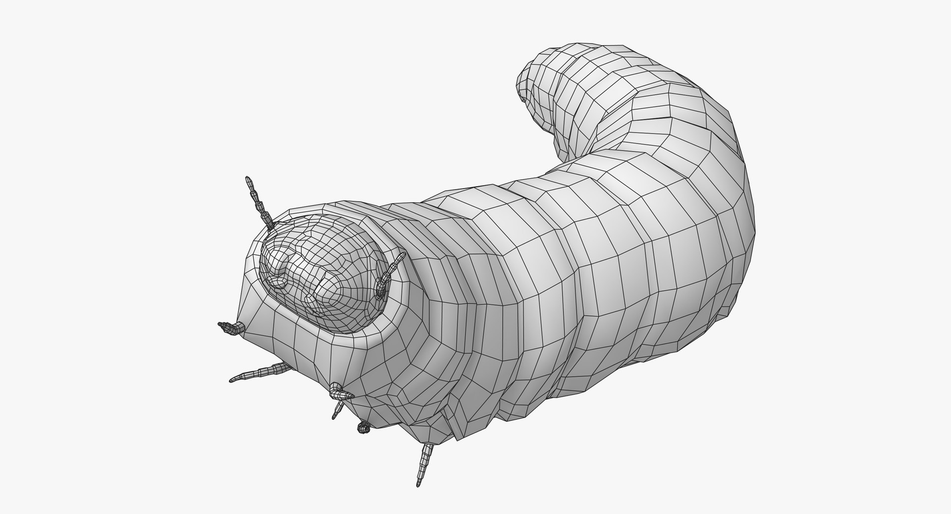 Realistic Maggot Pose 3D Model - TurboSquid 1424617