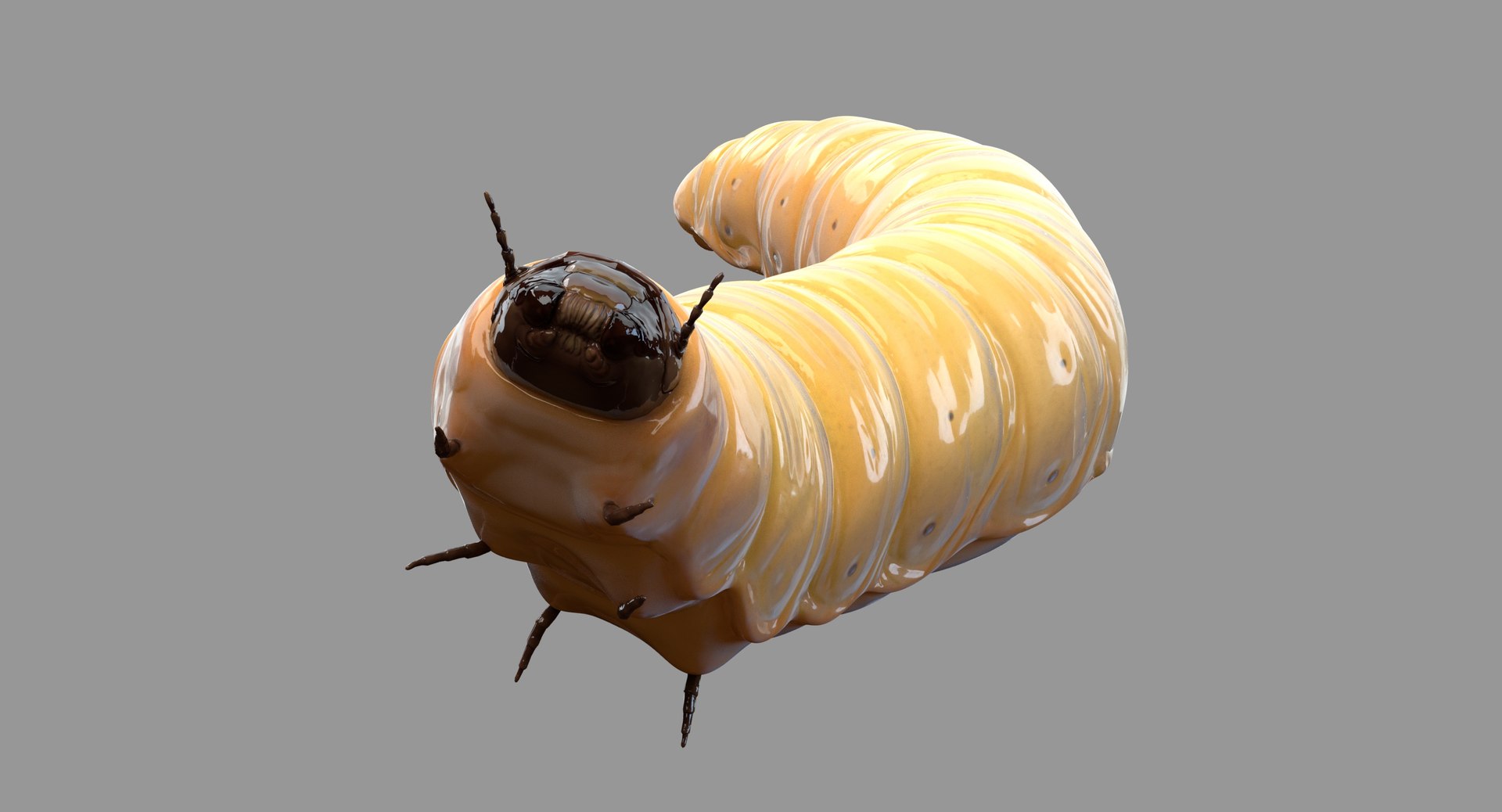 Realistic Maggot Pose 3D Model - TurboSquid 1424617