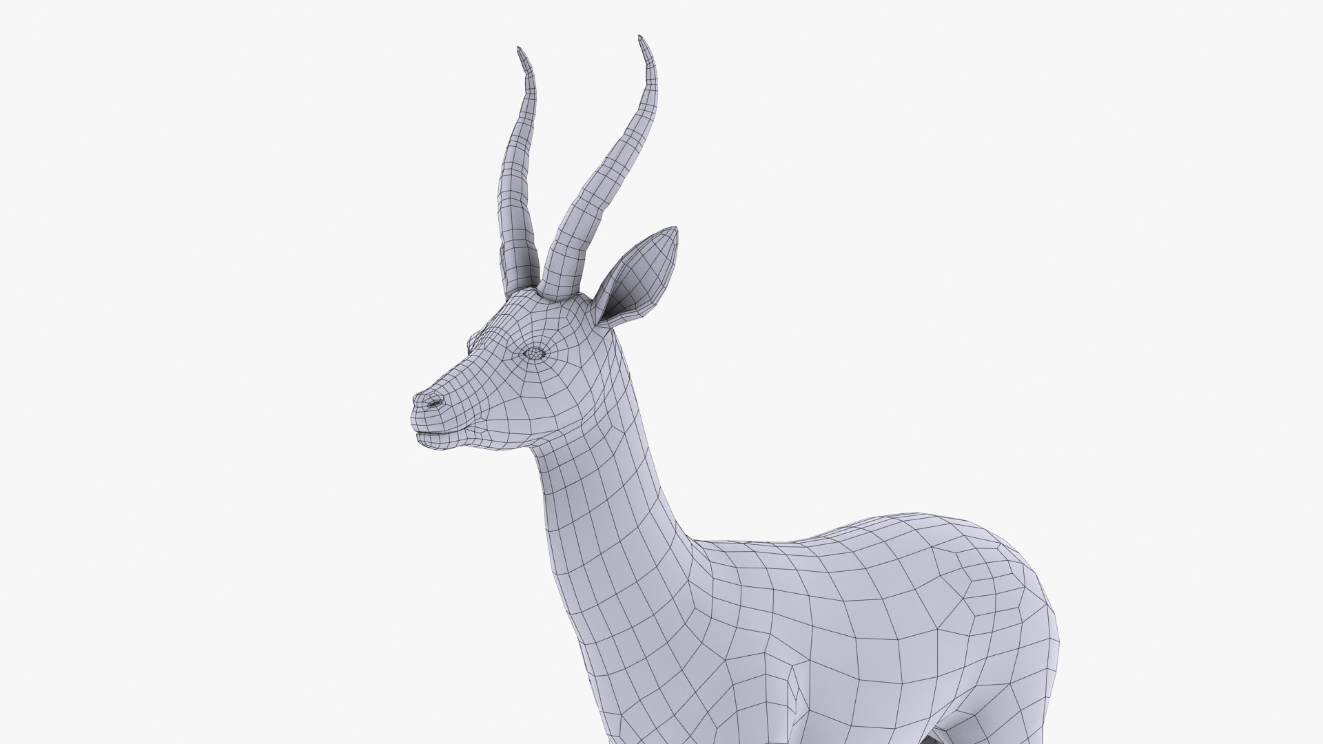 antelope 3d model