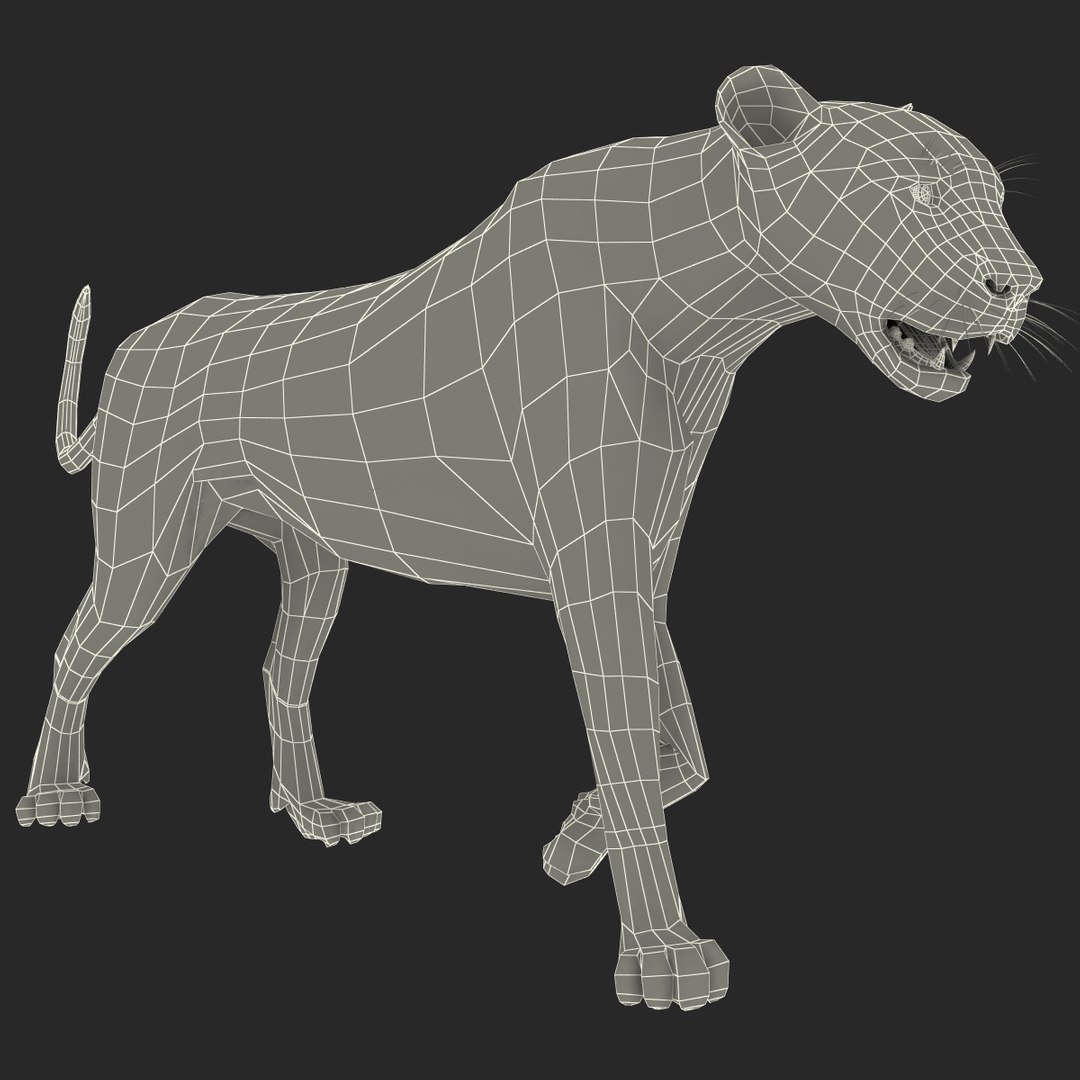 cheetah 2 pose 1 3d model