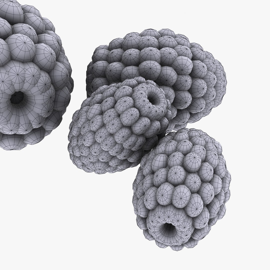 3d Berry Fruit
