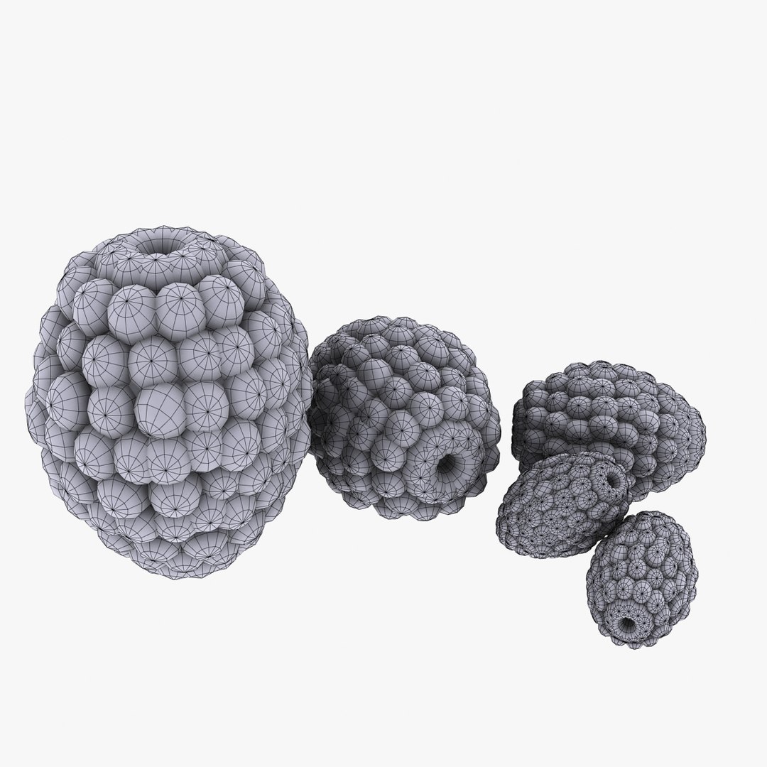 3d Berry Fruit