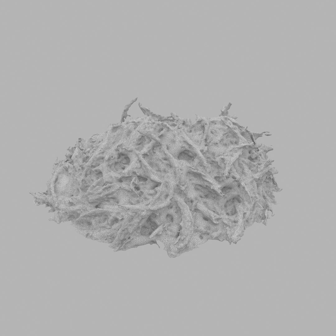 3D Model Tea Leaves White - TurboSquid 1365206