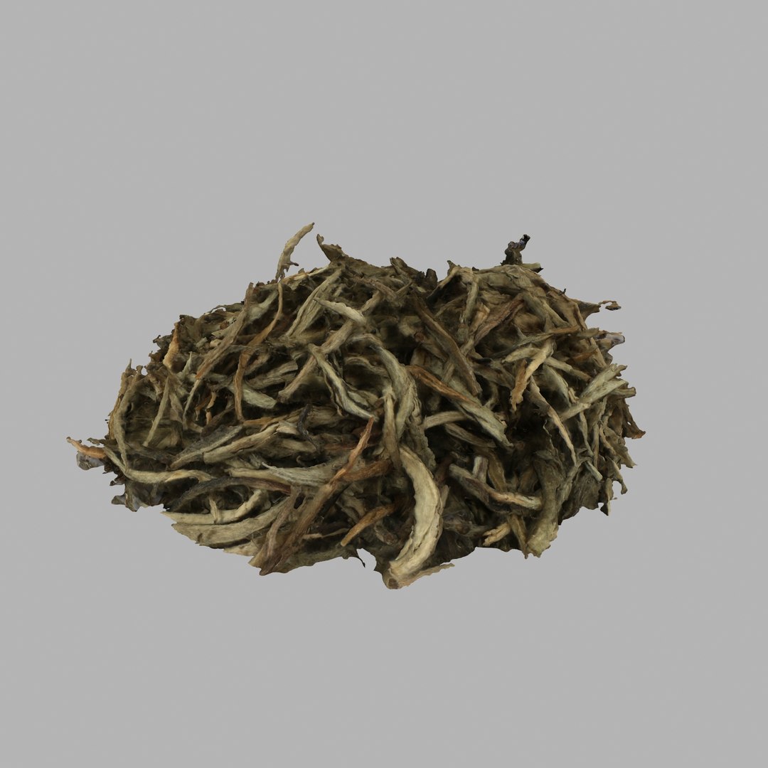 3D Model Tea Leaves White - TurboSquid 1365206