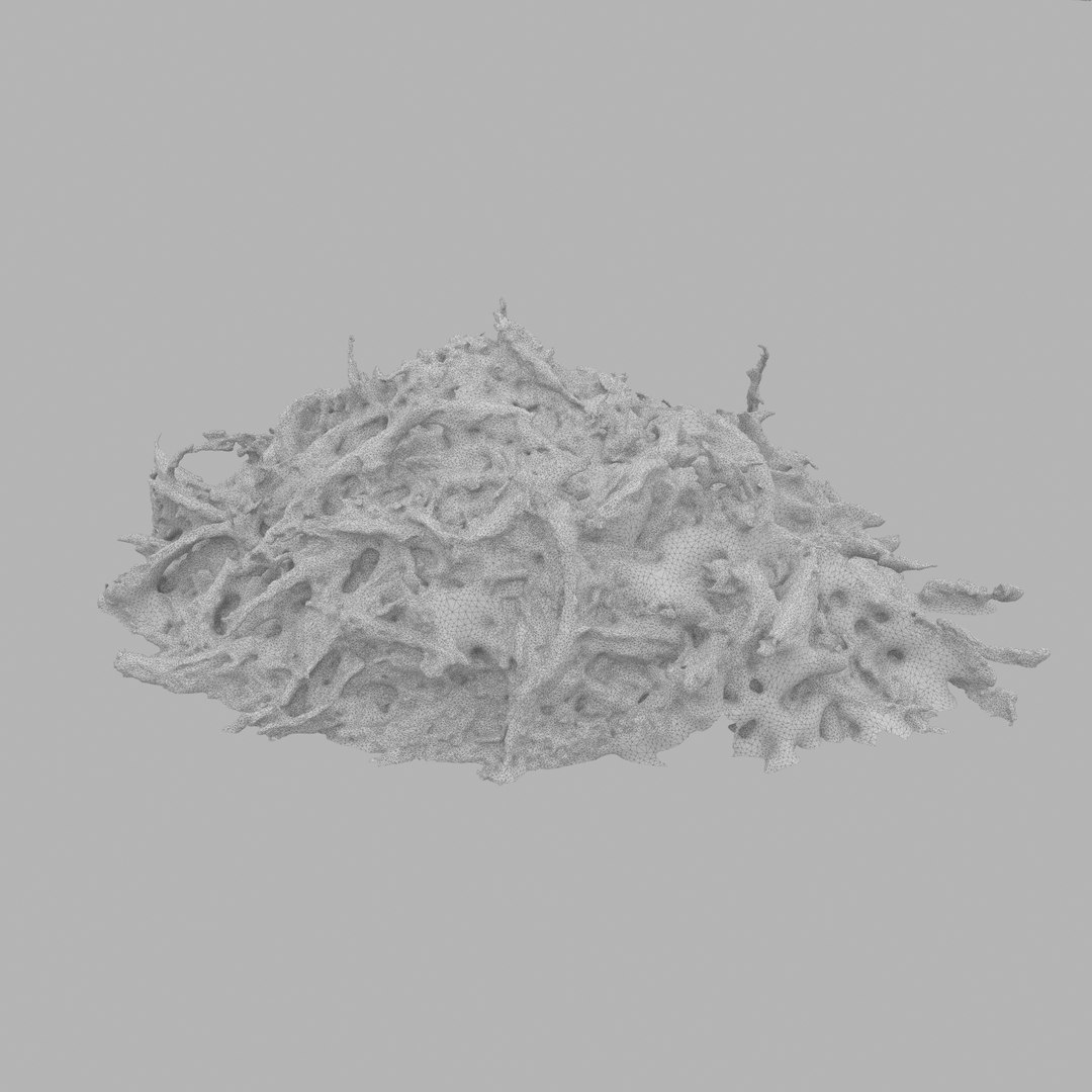3D Model Tea Leaves White - TurboSquid 1365206