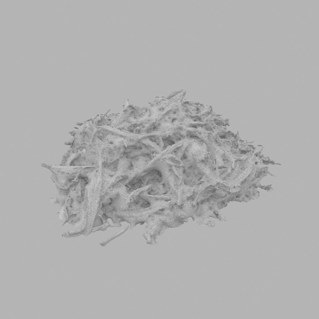 3D Model Tea Leaves White - TurboSquid 1365206