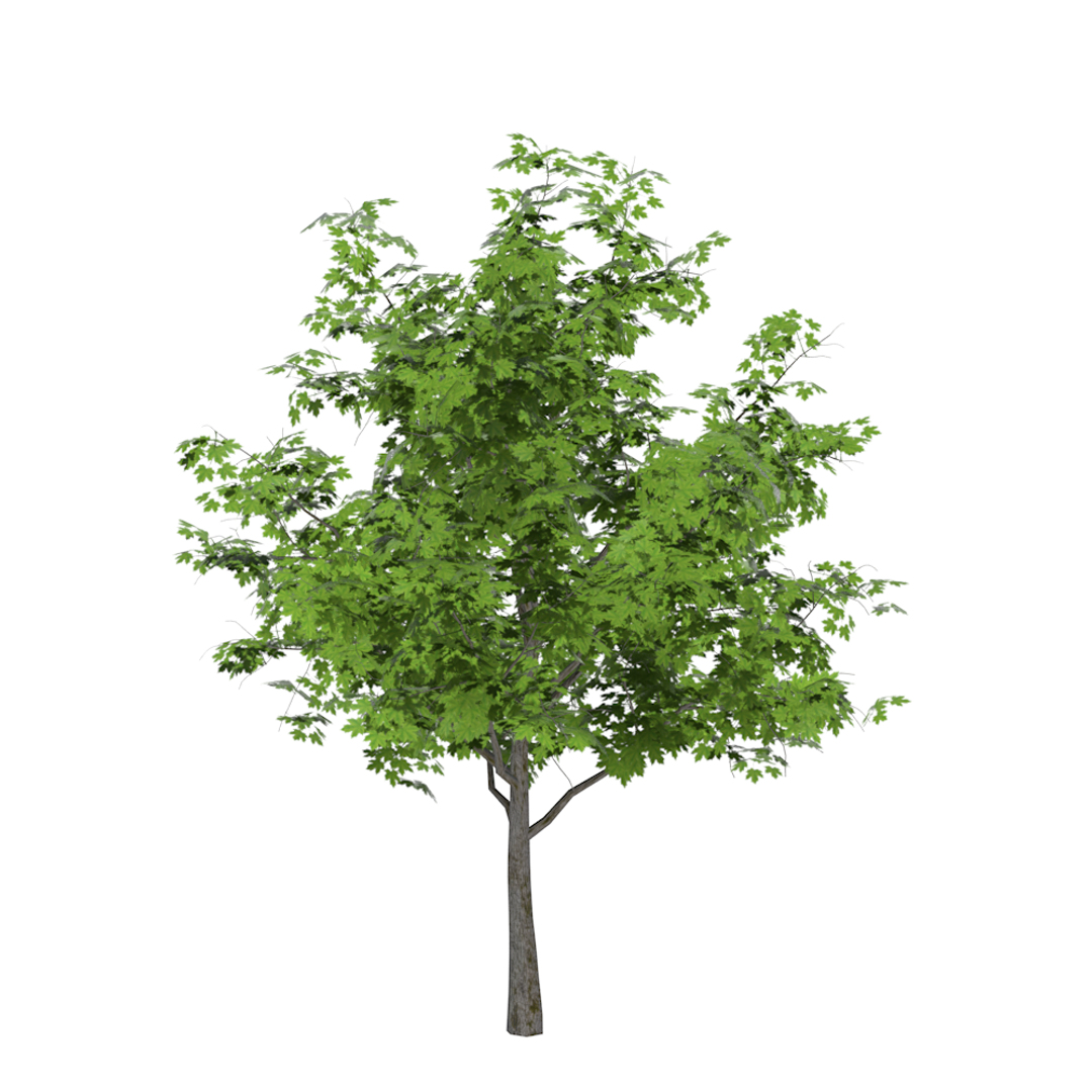3D model trees summer autumn - TurboSquid 1692912