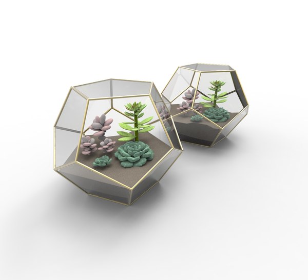 3D Terrarium Models | TurboSquid