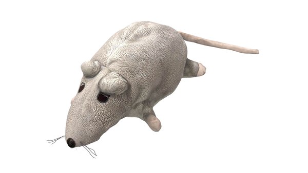 modelo 3d Rata de peluche aparejada gratis - TurboSquid 2025176