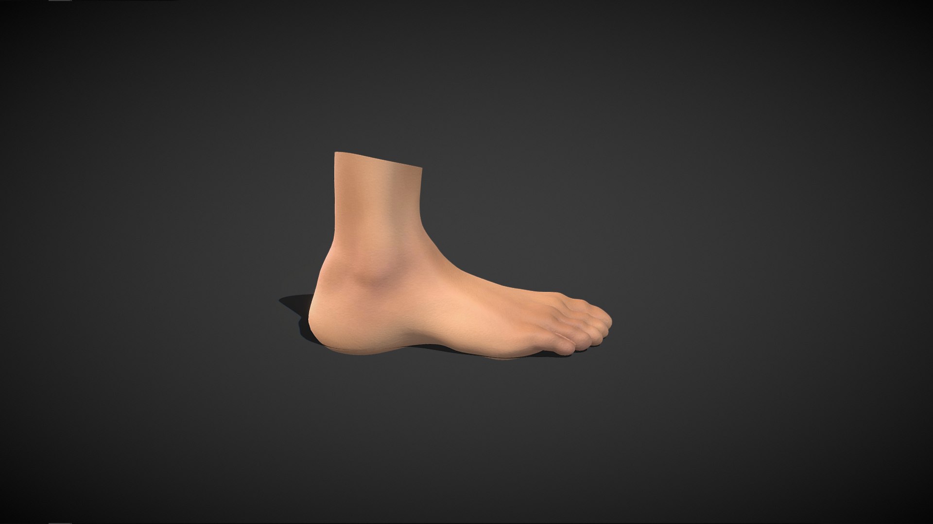 Fit Male Anatomy - Foot Base Mesh 3D - TurboSquid 1843583