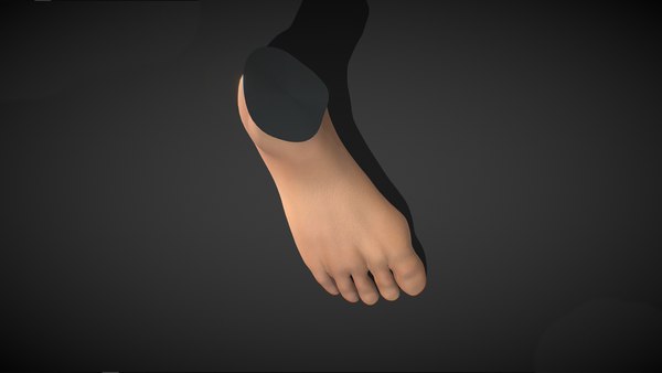 Fit Male Anatomy - Foot base mesh 3D - TurboSquid 1843583