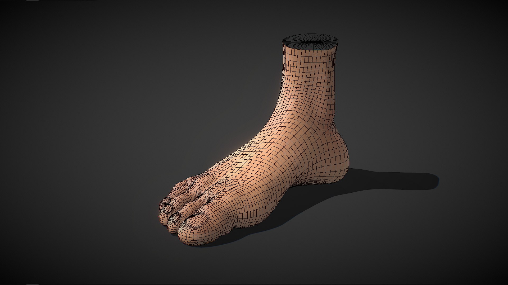 Fit Male Anatomy - Foot Base Mesh 3D - TurboSquid 1843583