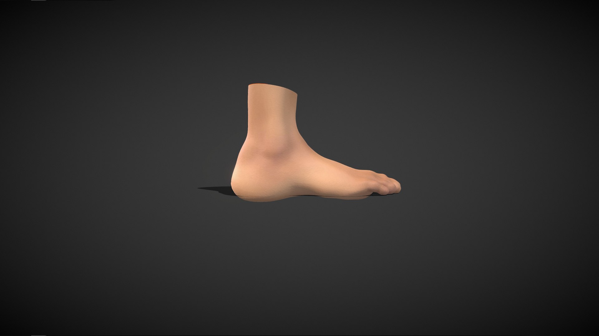 Fit Male Anatomy - Foot Base Mesh 3D - TurboSquid 1843583