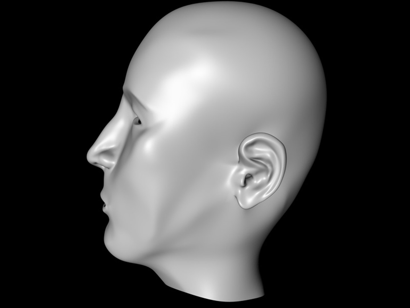 Free Man Head 3d Model
