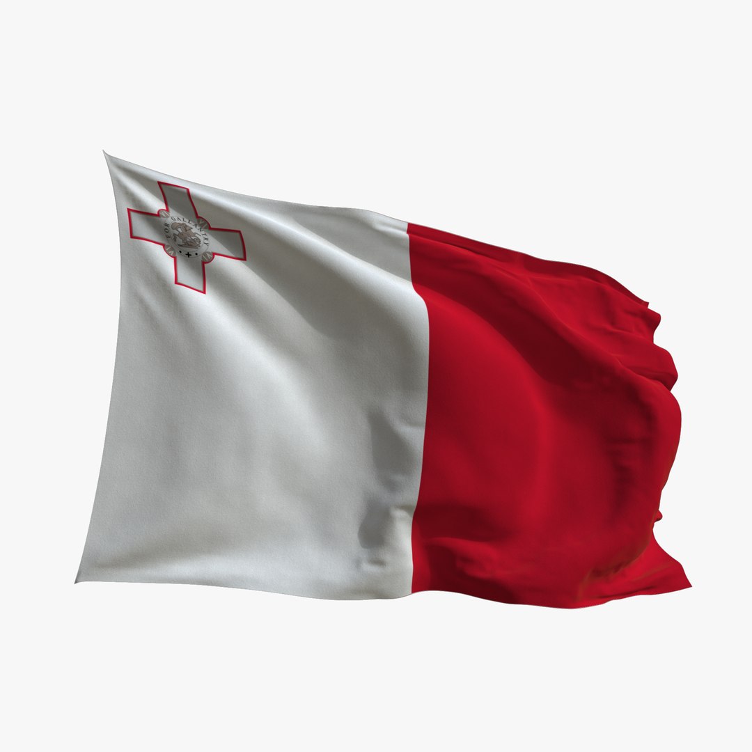 3D Realistic Animated Flag - Microtexture Rigged - Put your own texture ...