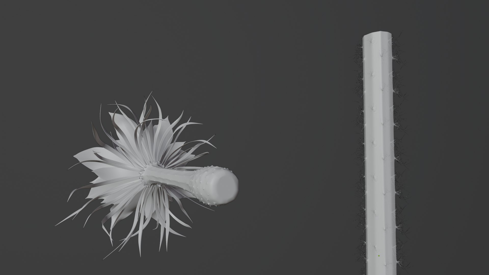 3D Moonlight Flower Cactus 3D Model - TurboSquid 2459669