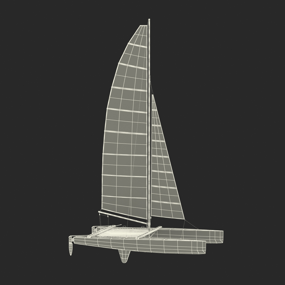 International Class Catamaran 3d 3ds