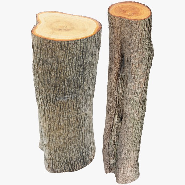 Log 3D Models for Download | TurboSquid