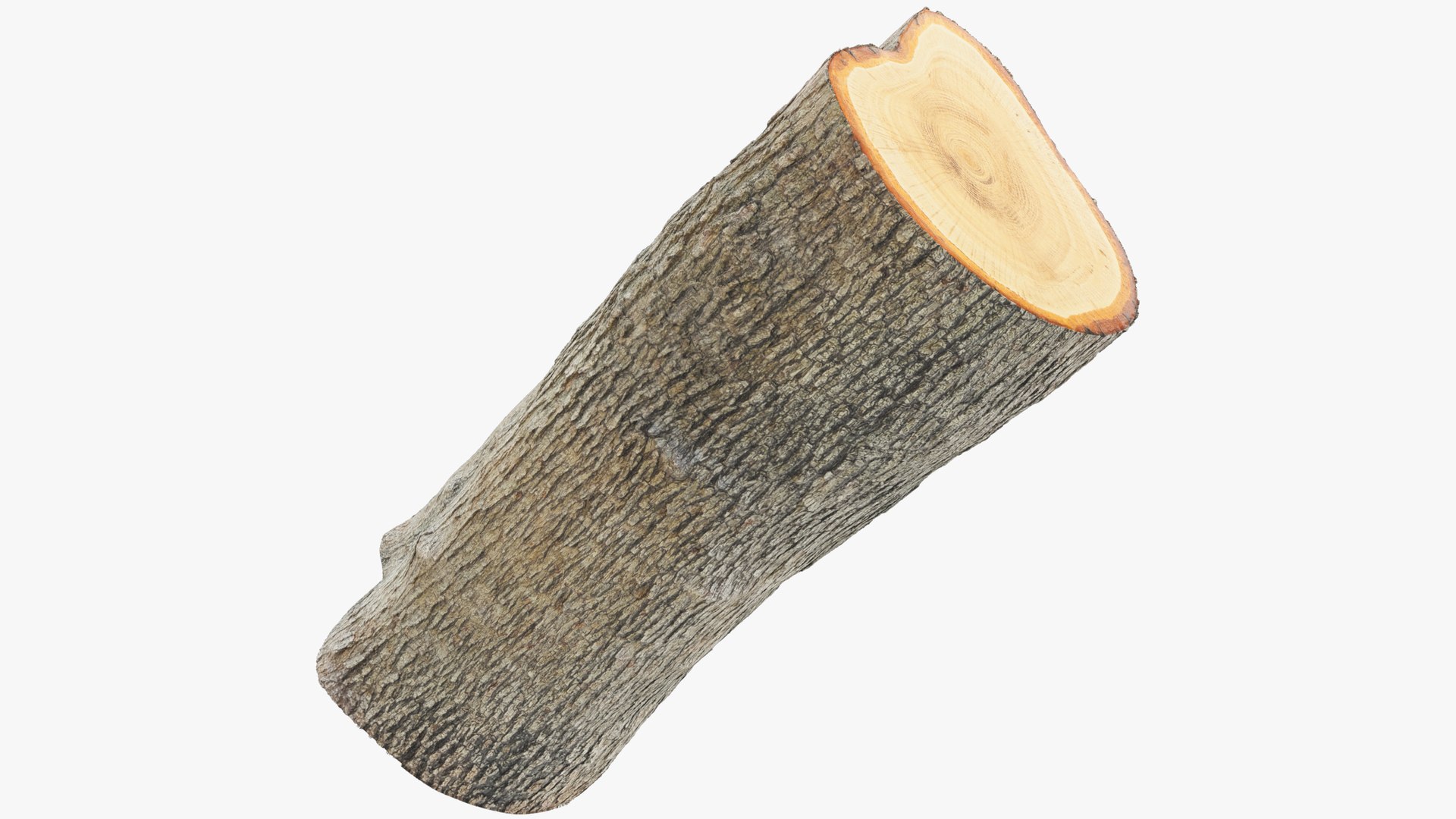 3D Logs Collection V3 - TurboSquid 2110824