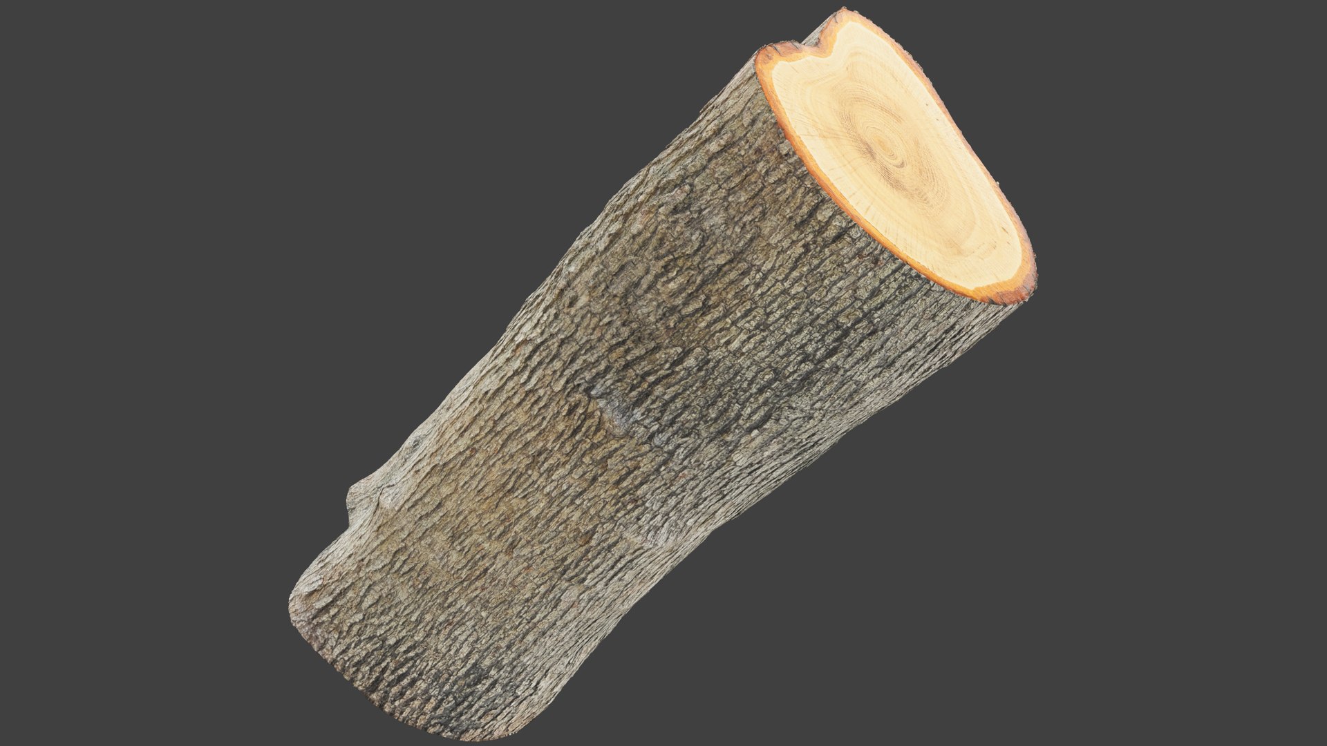 3D Logs Collection V3 - TurboSquid 2110824