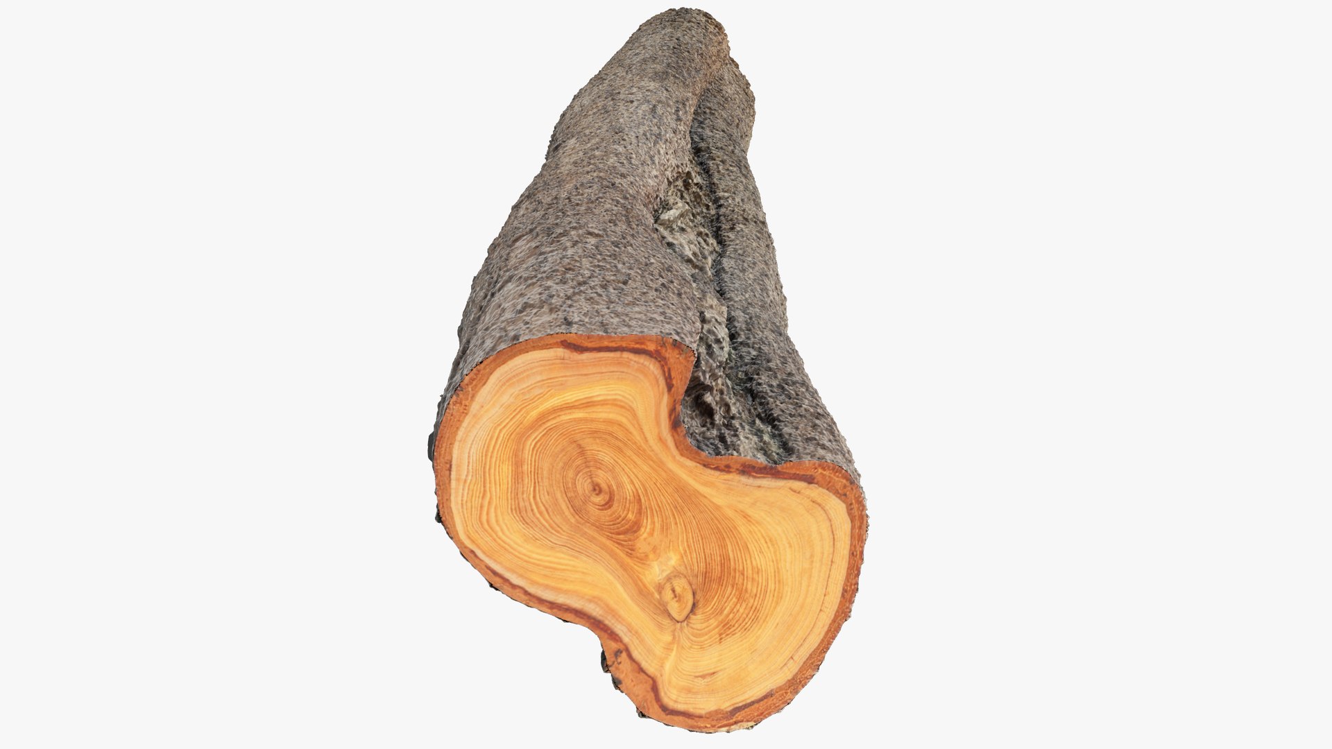 3D Logs Collection V3 - TurboSquid 2110824