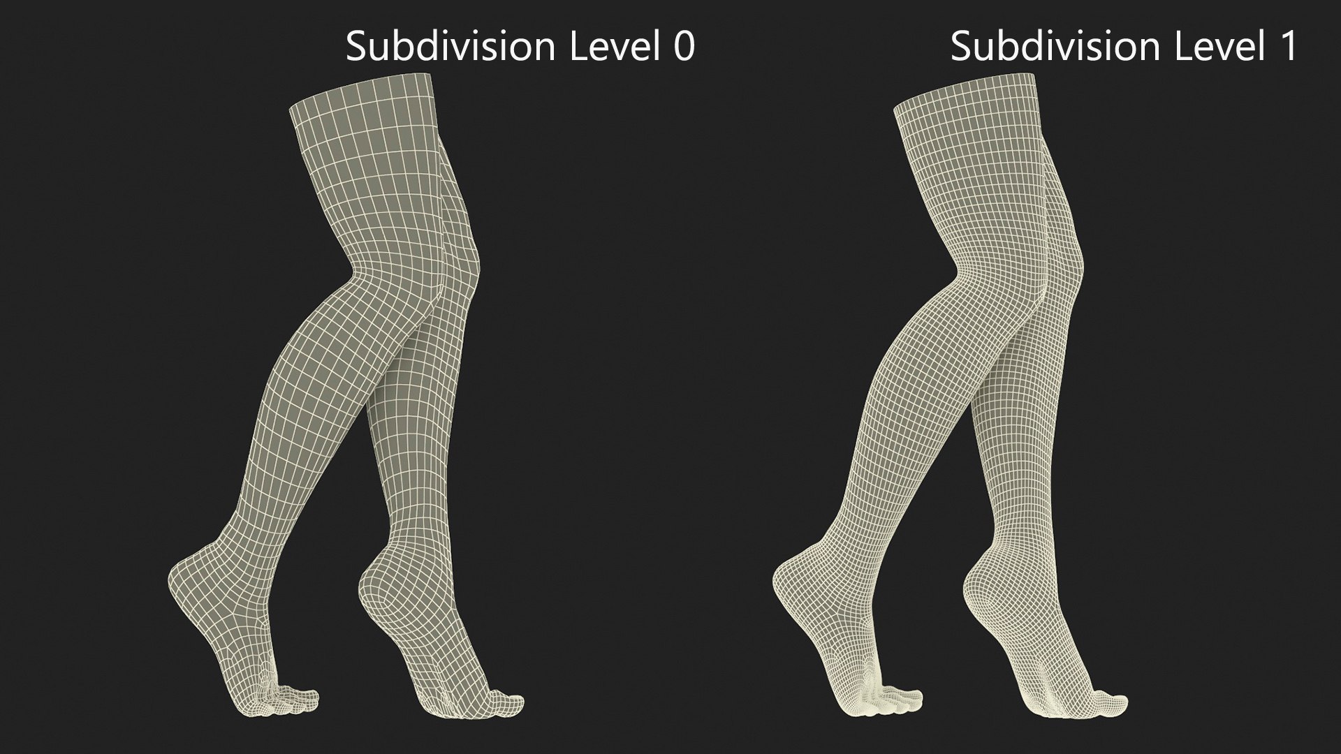 3D Woman Feet Are Raised On Her Toes Model - TurboSquid 2269802