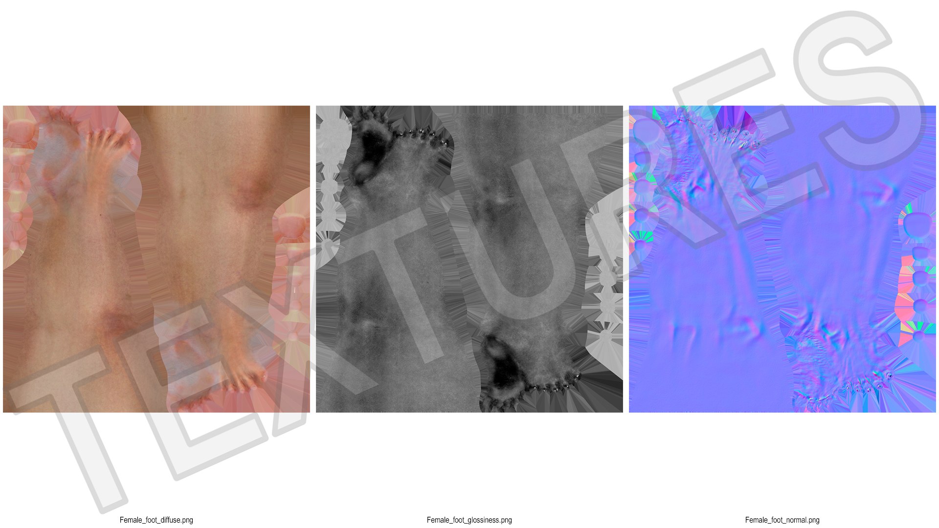 3D Woman Feet Are Raised On Her Toes Model - TurboSquid 2269802